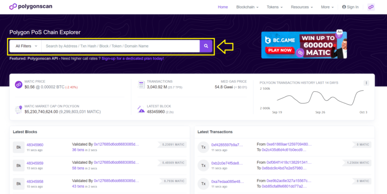 Polygonscan(ポリゴンスキャン)の使い方、使って得られる情報を解説 - Crypto Marker